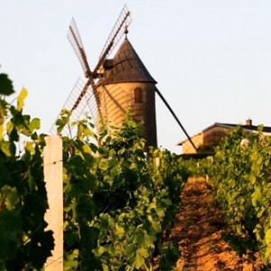Chateau Moulin a Vent - Producers