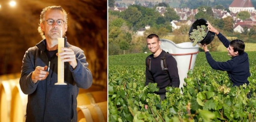 Samuel Billaud 2020 Chablis Grand Crus - Burgundy - Offers